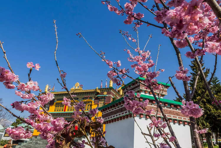 Himachal Pradesh Summer Travel: Prettiest places in Himachal Pradesh to ...