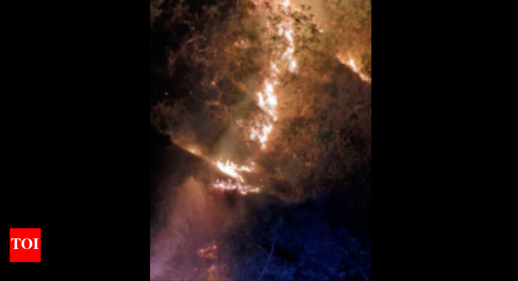 Almora: 1 killed, 3 hurt while battling forest fire | Dehradun News ...