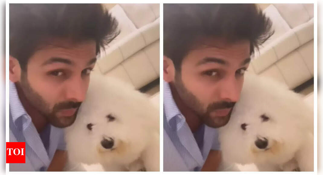 Kartik Aaryan's Sunday with his pet dog Katori is filled with love and ...