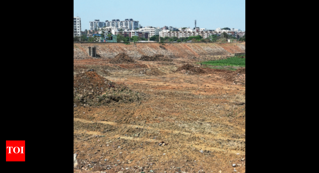 125 of 800 lakes in Bengaluru dry up; 25 more to become empty soon ...