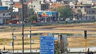 Bhalswa lake’s struggle for survival | Delhi News - Times of India