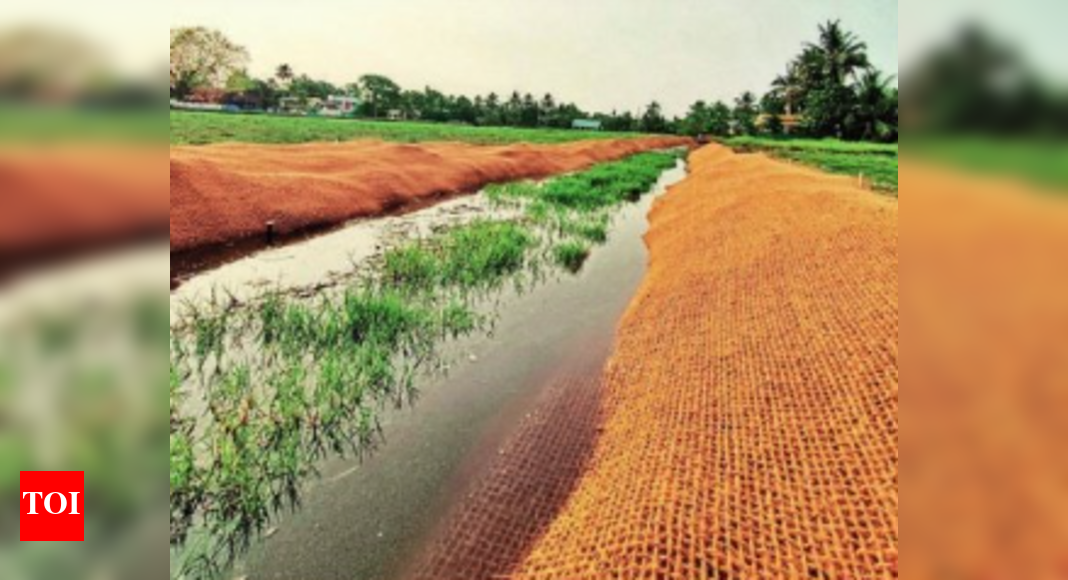 To protect streams, Eloor using coir geotextiles | Kochi News - The ...