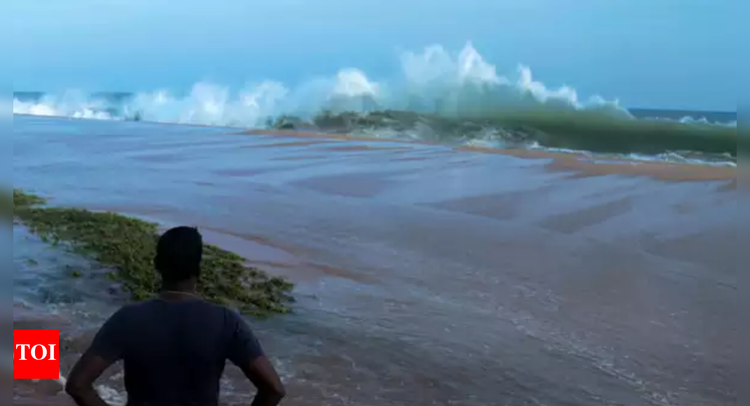 Swell surge in sea off Kanyakumari kills five medicos | Chennai News ...