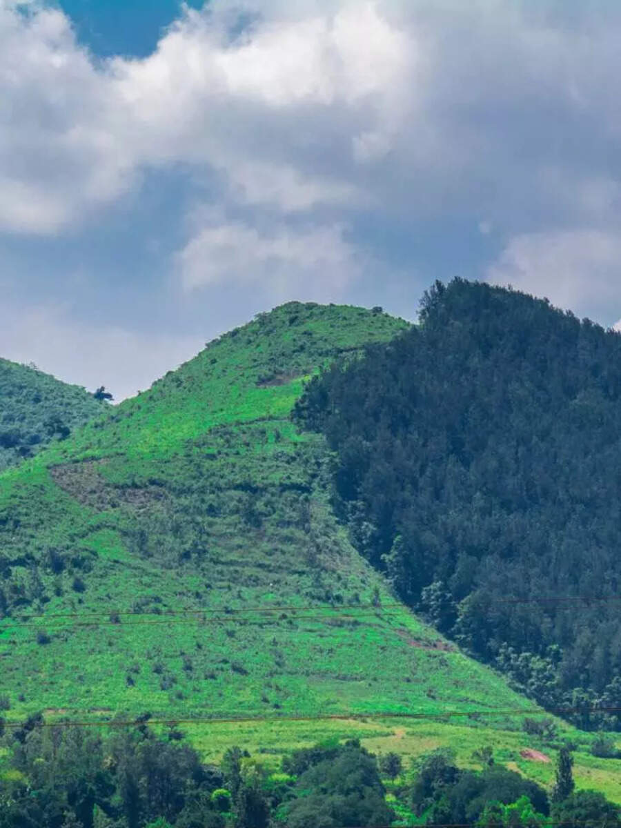 Best Places in Araku: 8 Places You Must Visit In Araku Valley | Times Now