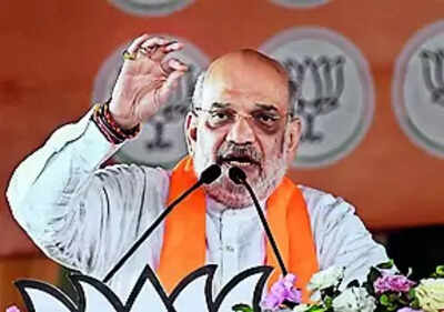 Vote for us, BJP will revoke Congress's 'unconstitutional' Muslim quota, says Amit Shah | India ...