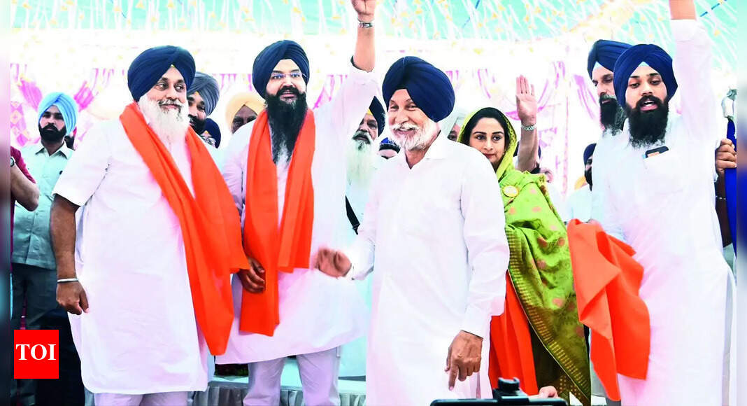 BJP: SAD tells BJP to 'See writing on the wall' | Chandigarh News ...