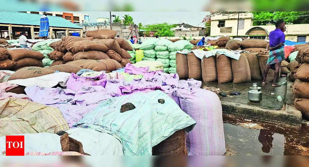 Paddy Bags: 12,000 Paddy Bags Drenched in Sudden Rain | Chennai News ...
