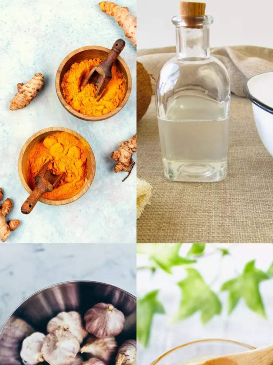 9 foods that are natural antibiotics | Times of India