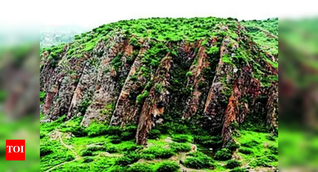 SC bars 4 states from granting fresh mining leases in Aravali | India ...