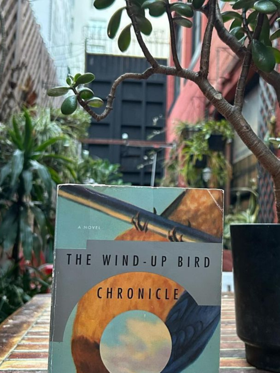 The Wind-Up Bird Chronicle Explained in 2 Minutes | Times Now