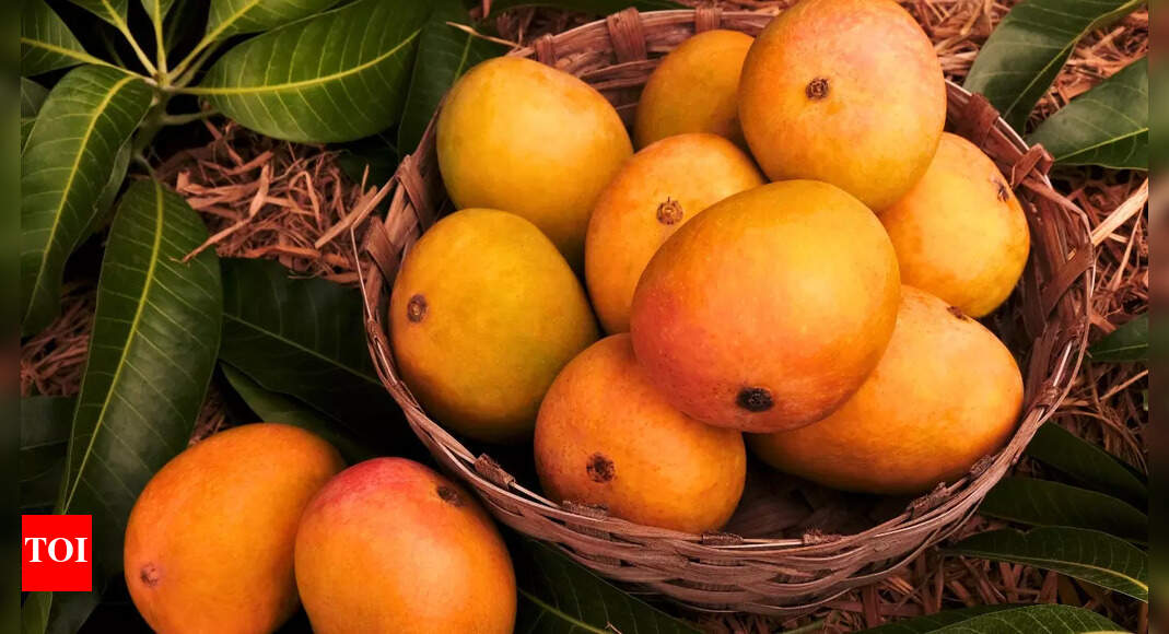 Mangoes Nutritional Benefits: 10 nutritional benefits of mangoes and ...