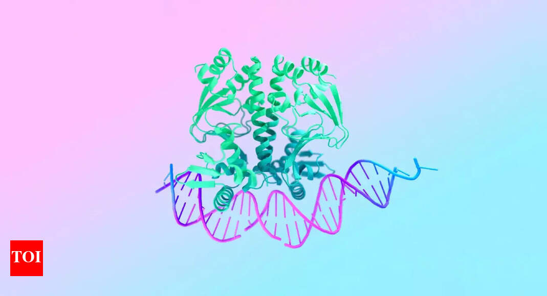 Google DeepMind unveils next generation of drug discovery AI model: How ...