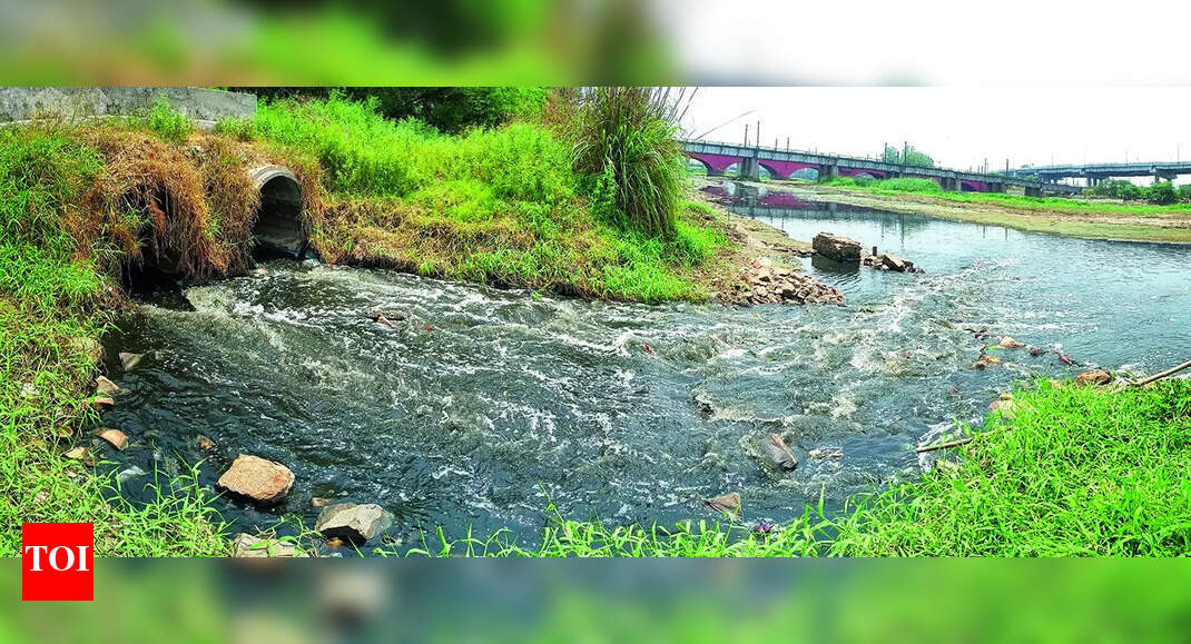 NGT Case Against Junior Officer Over Hindon Pollution | Ghaziabad News - Times of India
