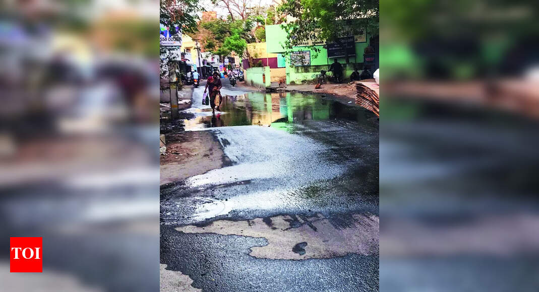 Sewage Overflow: Foul stench pervades Chitlapakkam streets as sewage ...