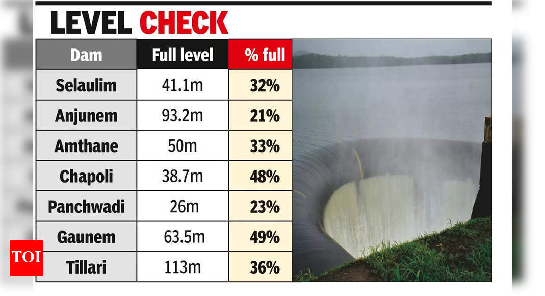 Enough raw water to last up to 75 days: WRD minister | Goa News - Times ...