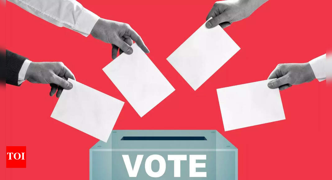 Vote On The Basis Of Consciousness, Not Conditioning - Times of India