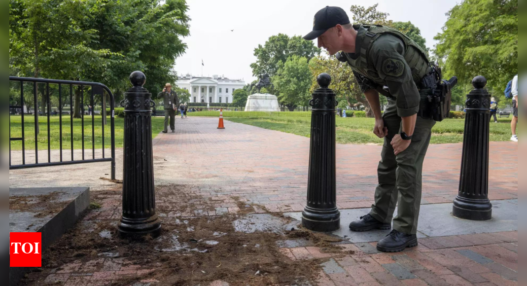 'Made several attempts to...': Indian national Sai Varshith Kandula ...