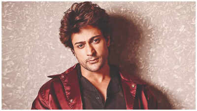 Shalin Bhanot: Acting is my true love and reality shows are like flings ...