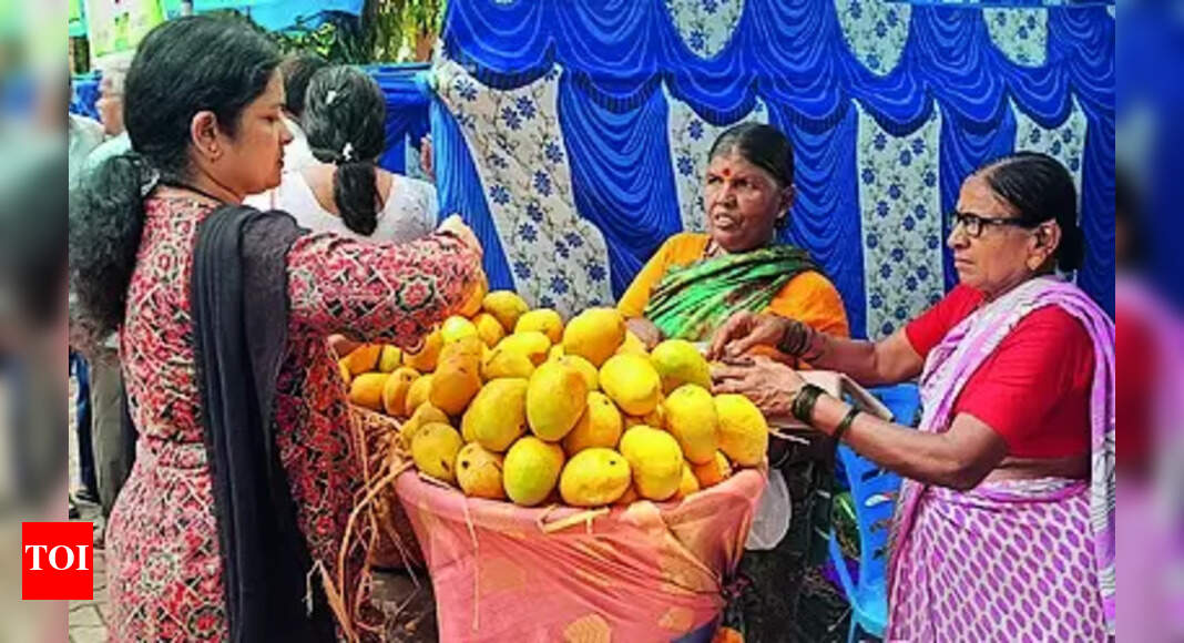 Mango Mela: Mango Mela Sees Brisk Sales in Dharwad | Hubballi News ...