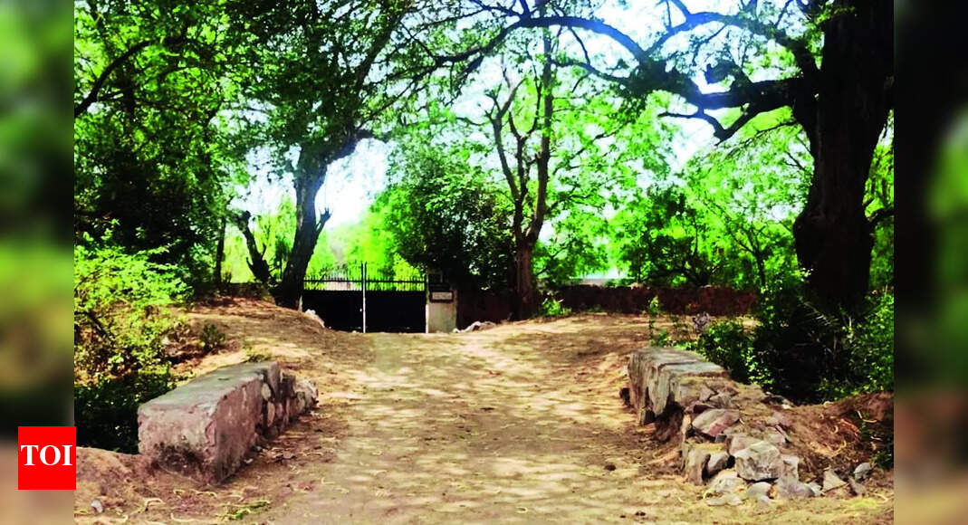 Bundh: Damage to Ghamroj Bundh by Farmhouse Owners Leads to Rs 3 Lakh ...