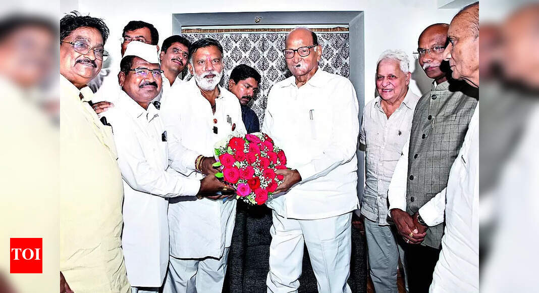 Modi: Modi first PM to create divide on religion & caste: Pawar ...