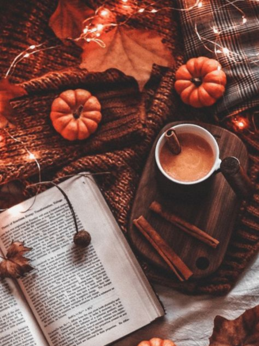 Fall Routine Activity For Each Zodiac Sign | Times Now