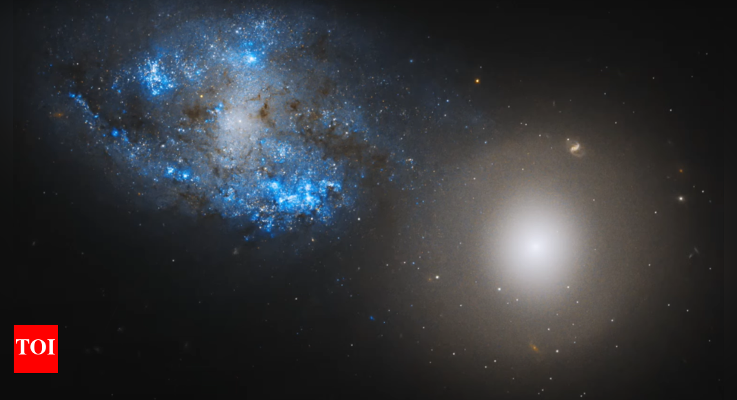 Nasa's Hubble reveals birth of a Sun-like star in stunning detail ...