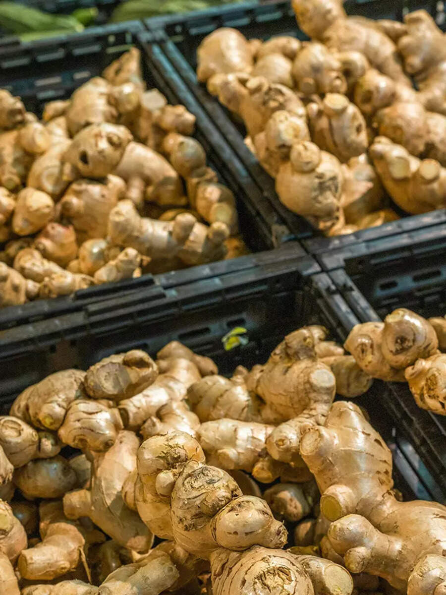 Raw Ginger Benefits: 12 benefits of eating raw ginger | Times of India