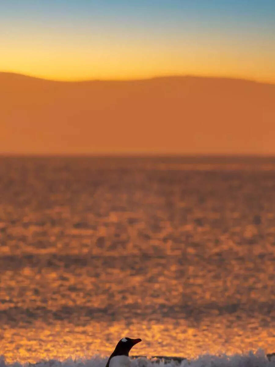 8 incredible places on Earth where the sun NEVER sets! | Times of India