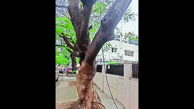 Hanging Wires: Risks of Hanging Wires for Bengaluru Residents ...