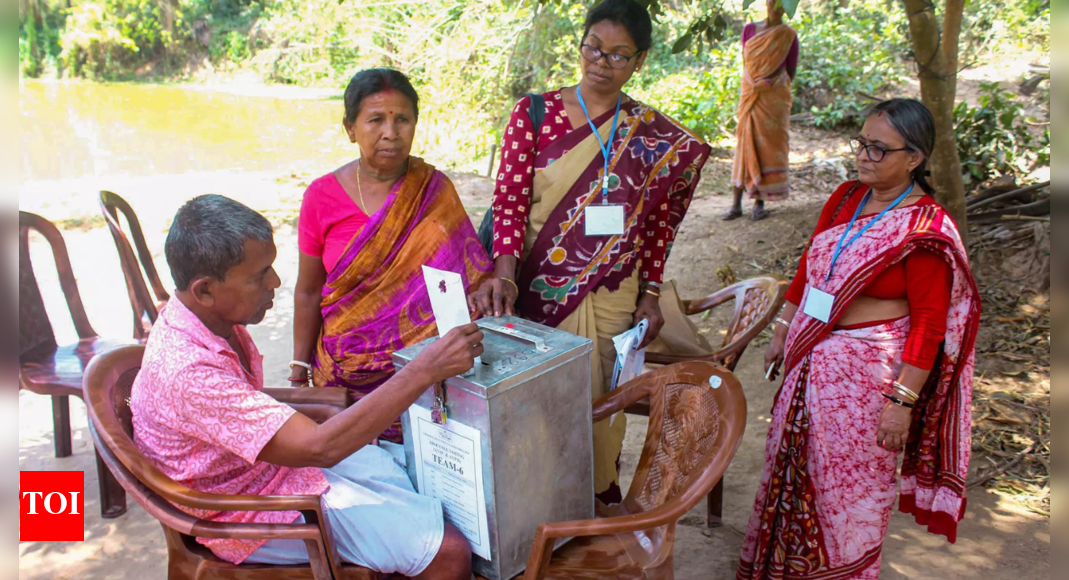 EC's home voting facility for elders, PwDs kicks off for Delhi Lok ...