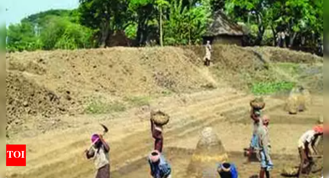 Tamil Nadu revises MGNREGS wage | Chennai News - Times of India