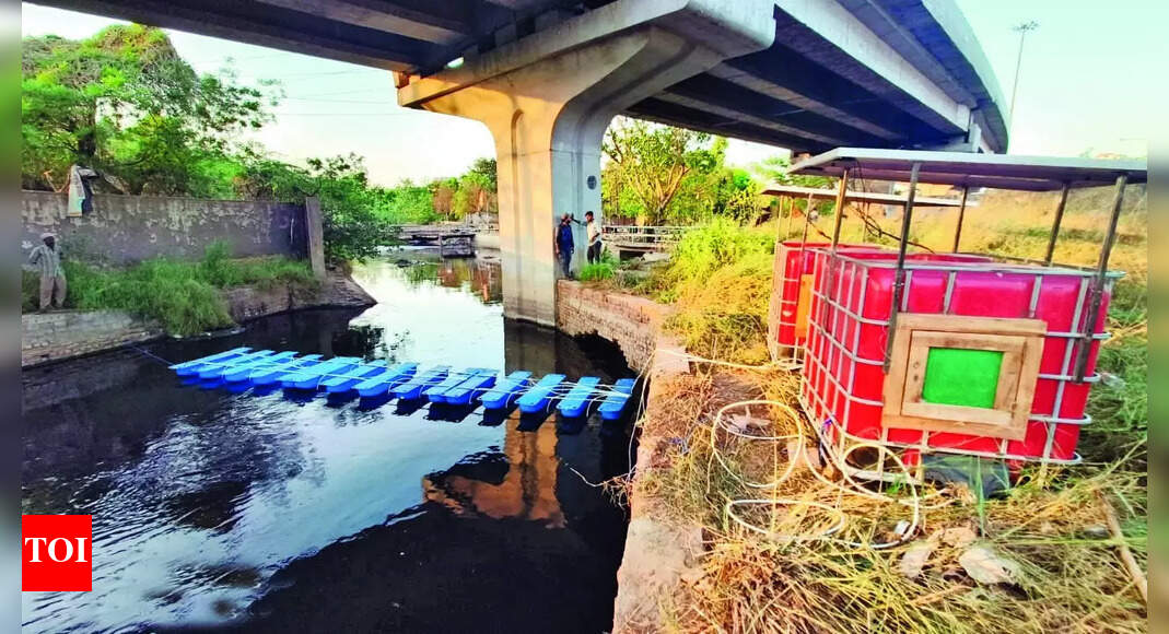 Action Plan to Tackle Pollution in Hindon River Urgently Needed, GMC Officials Directed ...