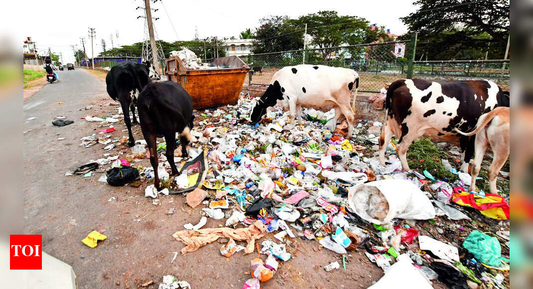 Single-Use Plastic: MCC intensifies effort to curb sale, use of single ...