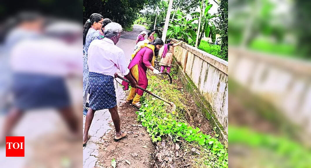Jaundice Outbreak: Vengoor jaundice outbreak: Ward members collect funds for treatment | Kochi ...