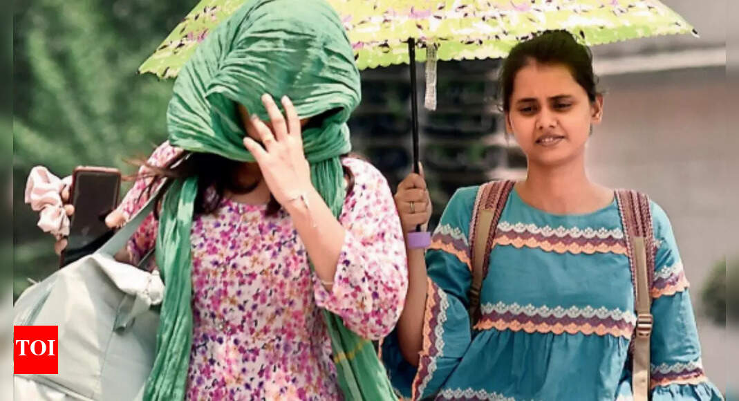 Delhi Heatwave: Blowing hot and hotter: Delhi scorches as India's top ...