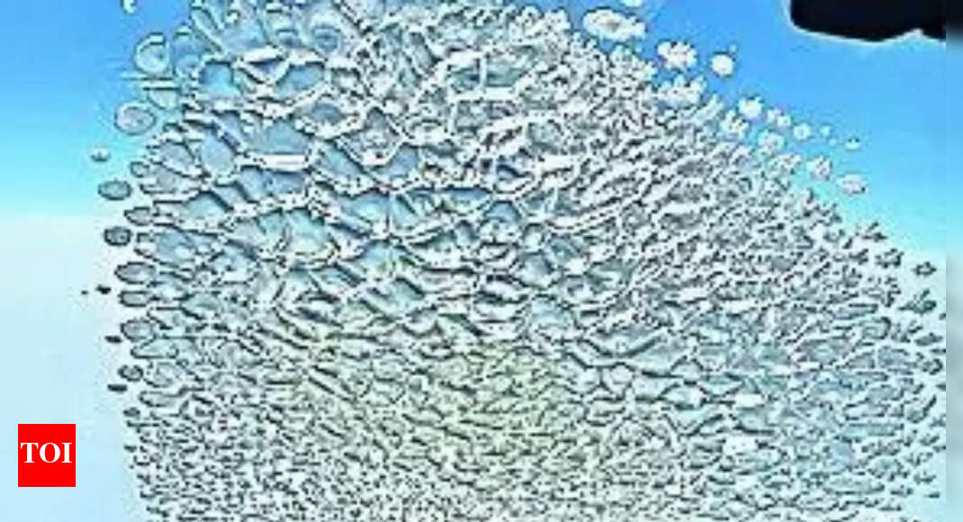 Air India: Air India cockpit window delamination incident | Mumbai News ...