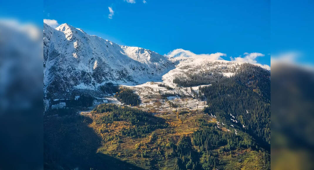 Narkanda: A picture-perfect destination in Himachal Pradesh this June ...