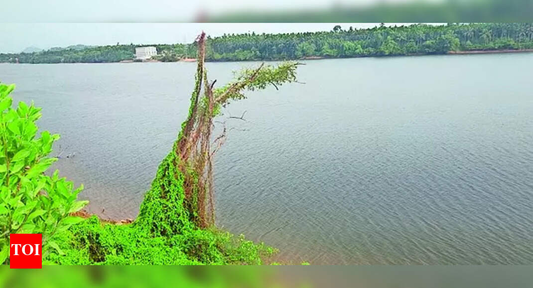 Nethravathi River: Relief for city as Nethravathi River witnesses ...