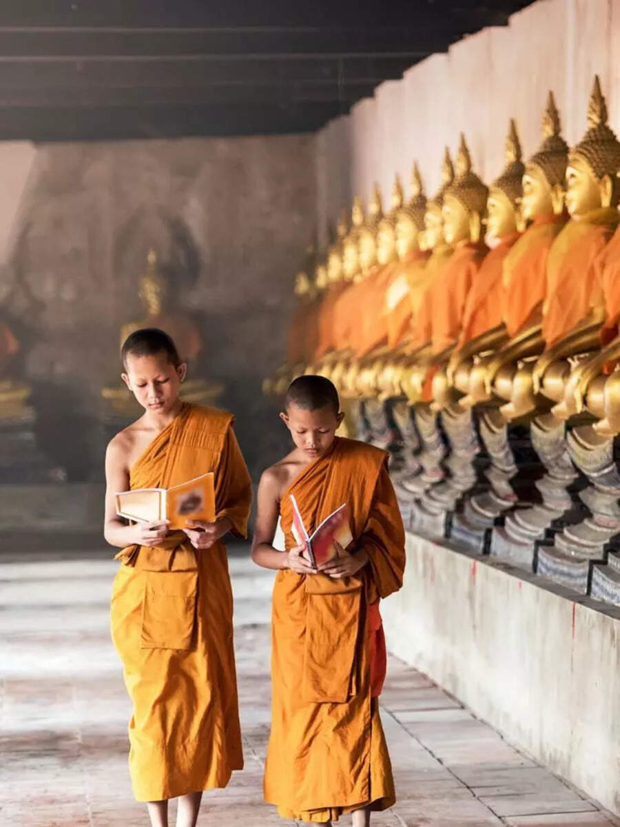 Top 10 Countries to Explore Buddhism's Rich History and Culture | Times Now