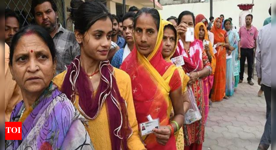 Odisha registers 69.34% voter turnout in 5 Lok Sabha, 35 assembly seats | India News - Times of ...