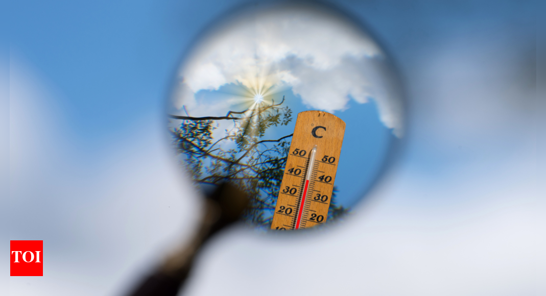 Heat wave hazards: Understanding the effects of extreme temperatures on ...