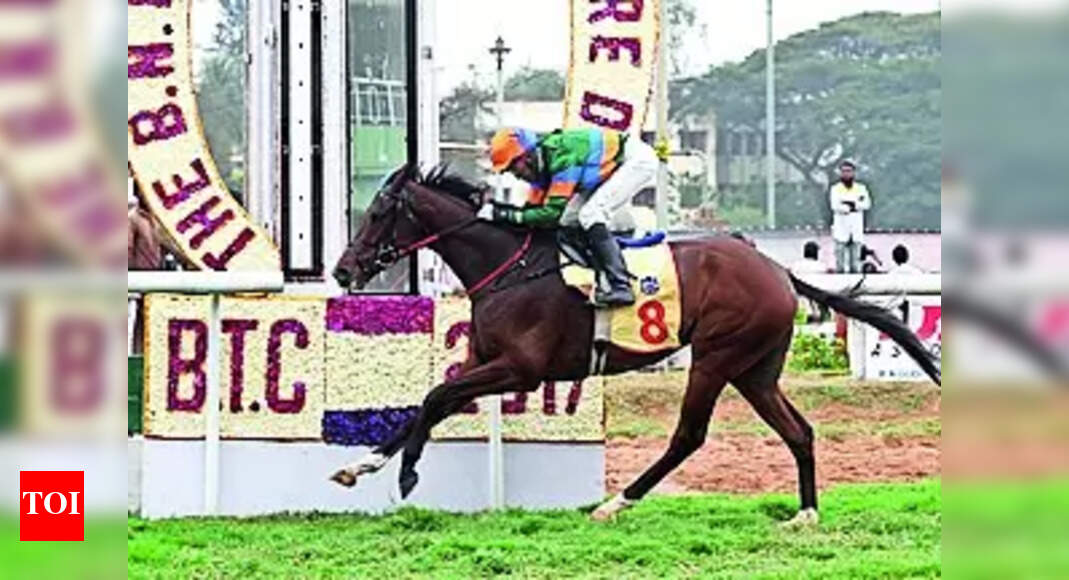 Horse Racing Licence: HC notice to govt over racing licence | Bengaluru ...