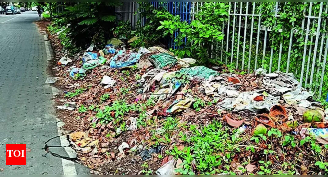 Garbage: Garbage along Kestopur canal raises dengue worry in Salt Lake ...