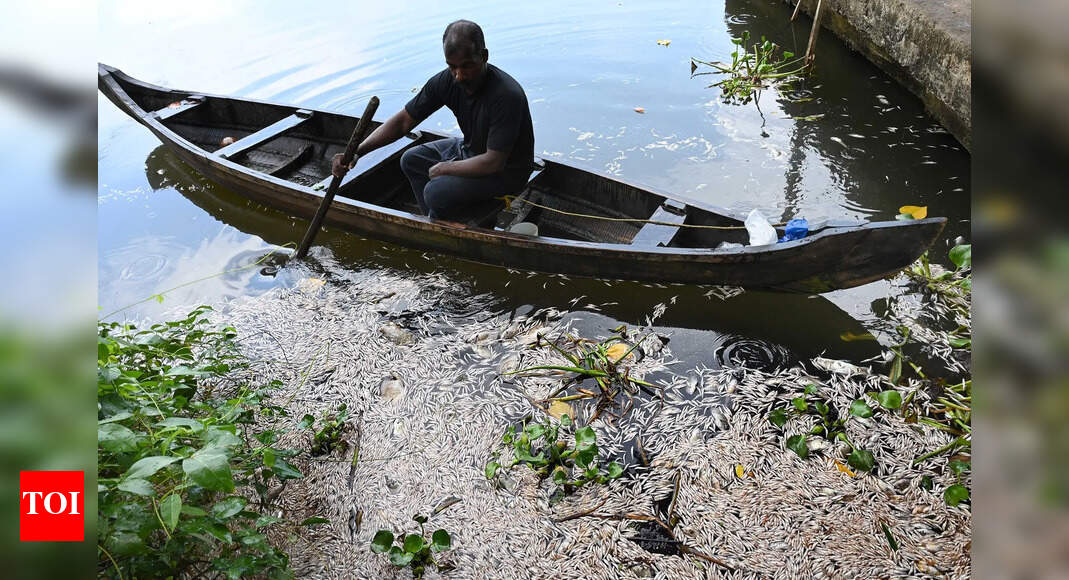 Fish Killing: Mass Fish Killing in Periyar and Vembanad Due to Chemical ...