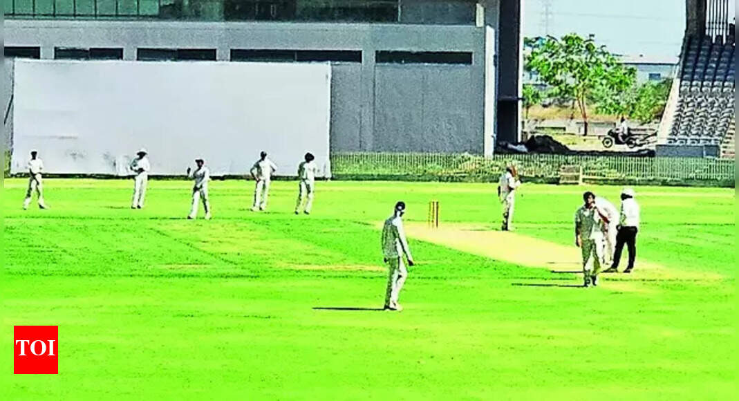 What's in a fake name? Extra moolah for these cricketers! | Vadodara ...