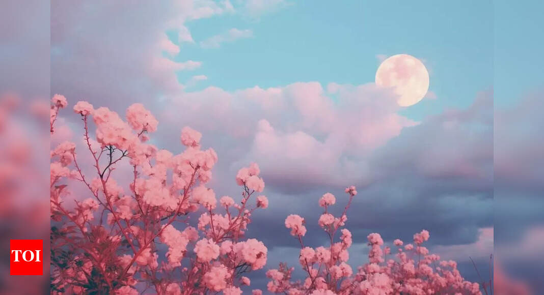 Flower Moon May 2024: Date, Time and Significance of Flower Moon ...