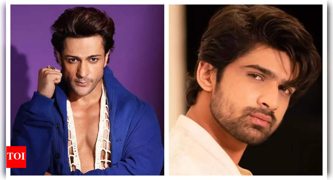 Exclusive - Shalin Bhanot: Abhishek Kumar is one of the reasons behind ...