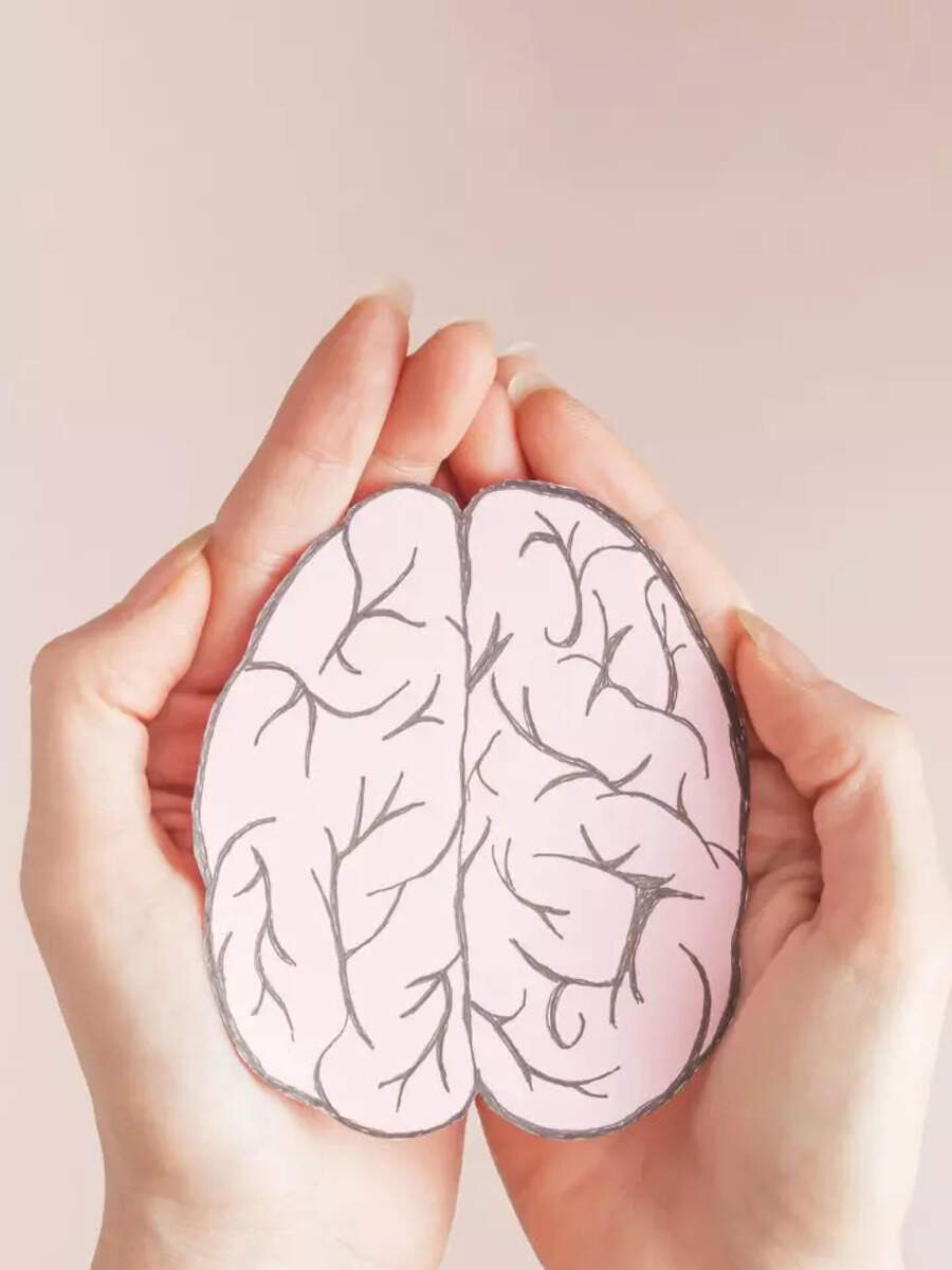 8 Herbs That Help To Boost Your Brain Health and Memory | Times Now