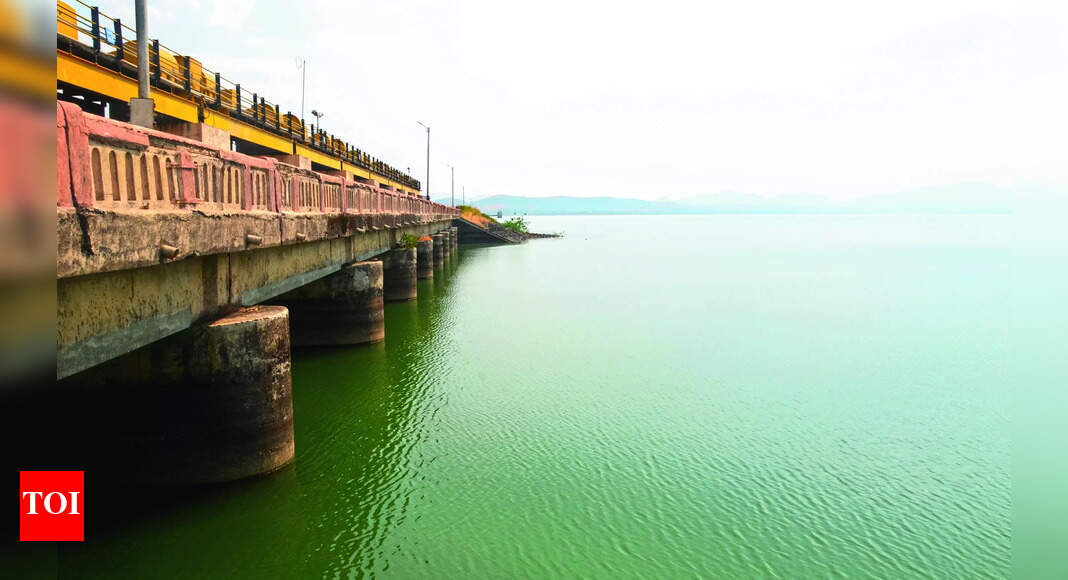 Nashik District: Water Storage in 24 Dams Across Nashik District Drops to 18% | Nashik News ...